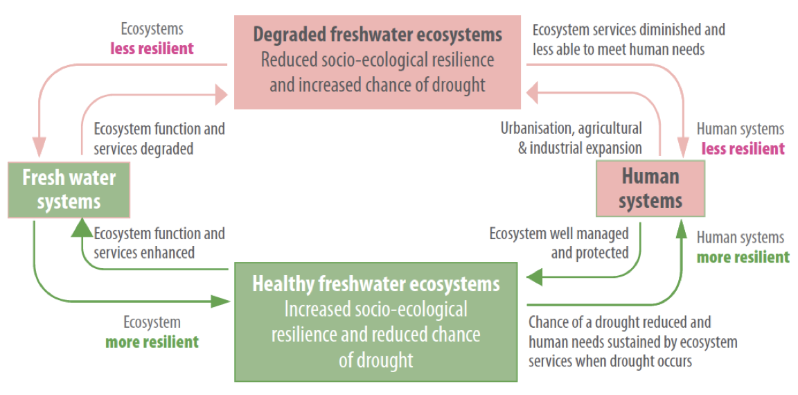 Drought Risk Management